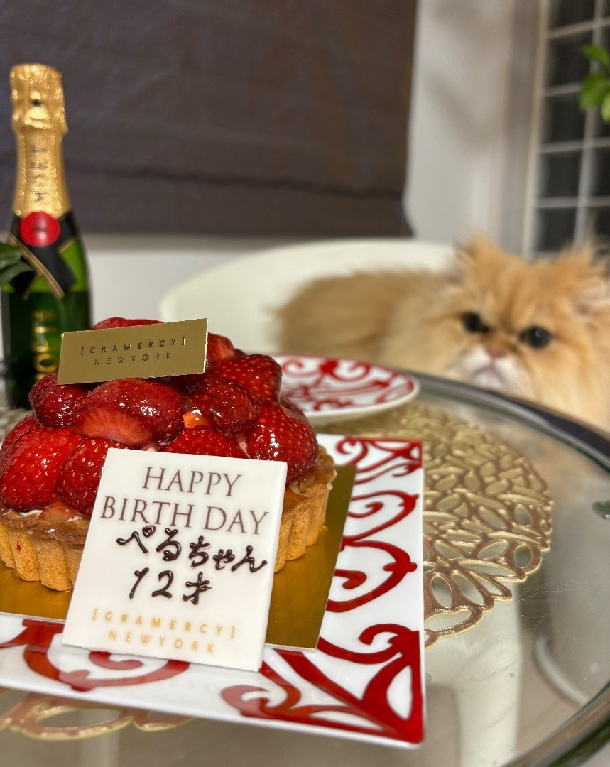 ぺるちゃんのお誕生日: Sweet memories♪